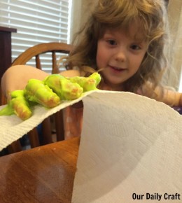 Green Goop Sensory Stuff - Our Daily Craft