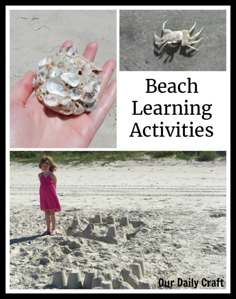 The Best Beach Activities for Summer Fun and Learning - Our Daily Craft