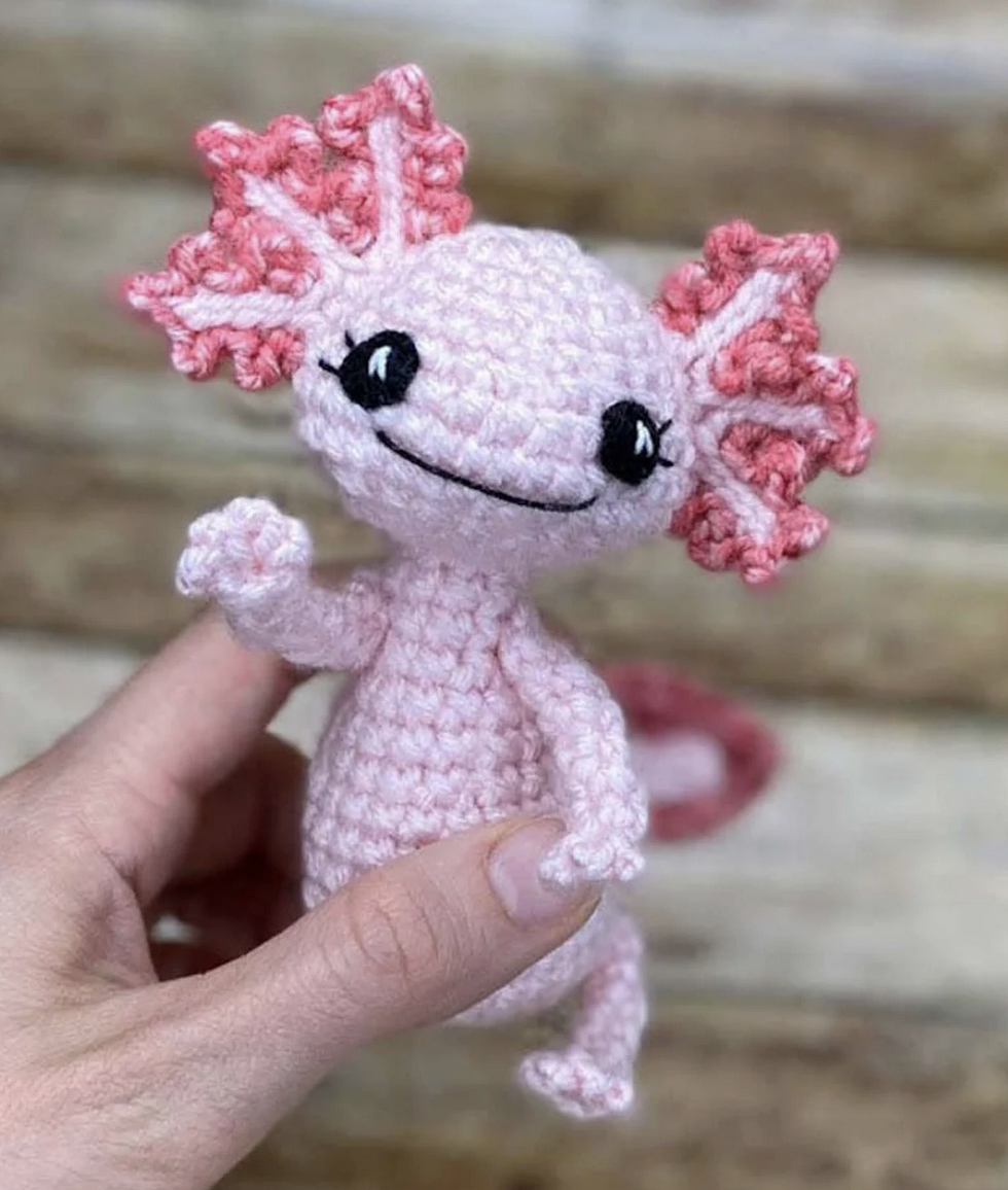 Axolotl Crochet Patterns - Our Daily Craft