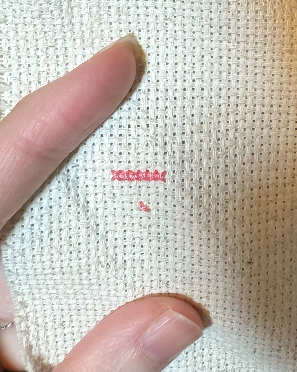 Special Cross Stitches: Partial Stitches and Back Stitch - Our Daily Craft