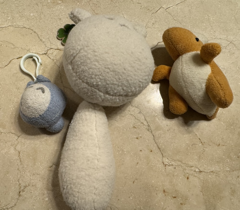 How to Wash Stuffed Animals - Our Daily Craft