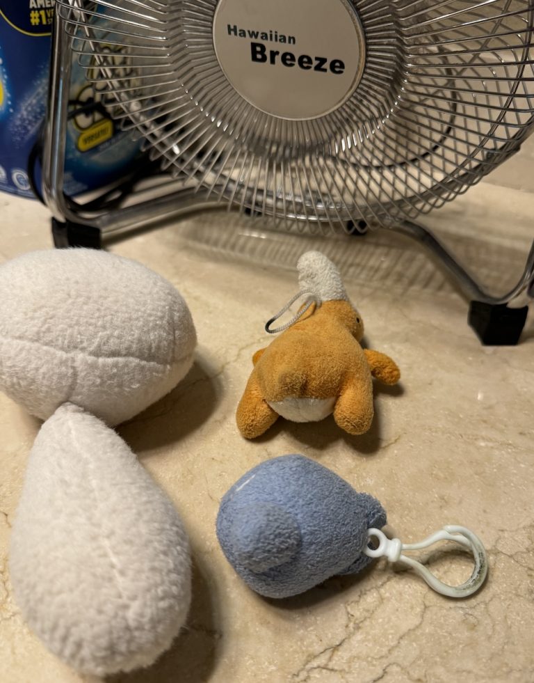 How to Wash Stuffed Animals - Our Daily Craft